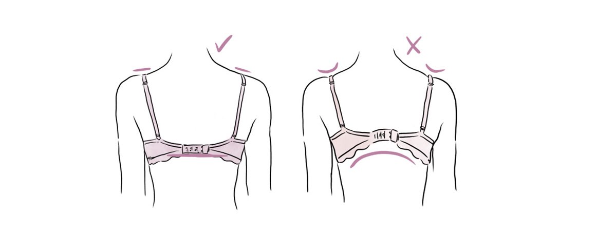 Bra Sizes & Bra Fitting | WINNERS